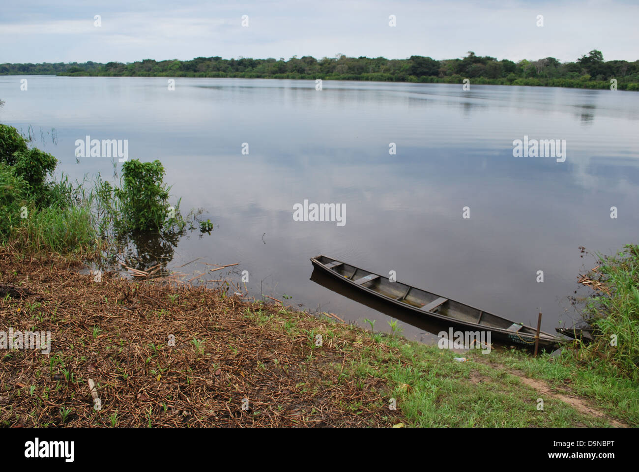 Amazon riverbank hi-res stock photography and images - Alamy