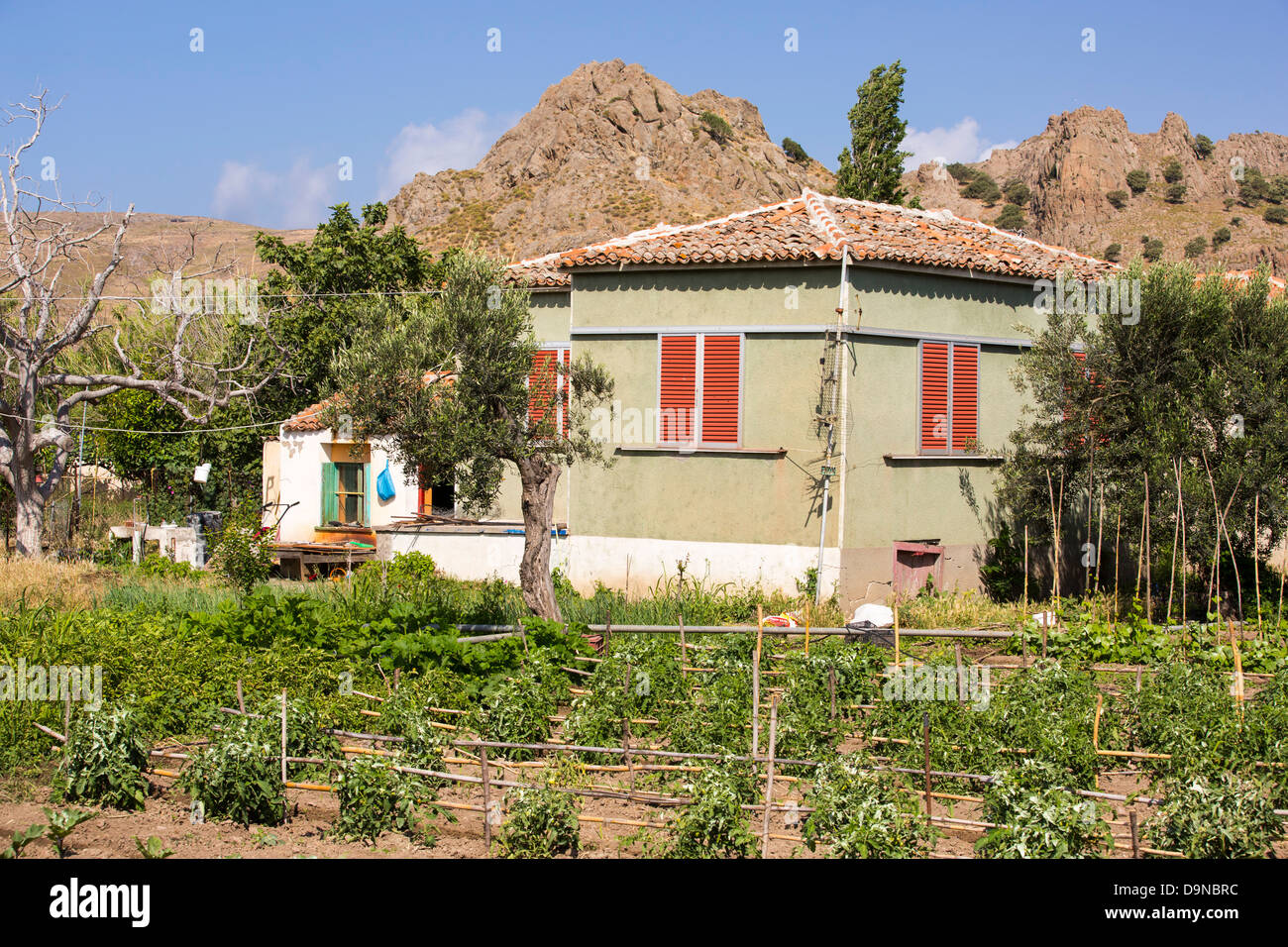 A traditional greek small holding growing their own food in Skala ...