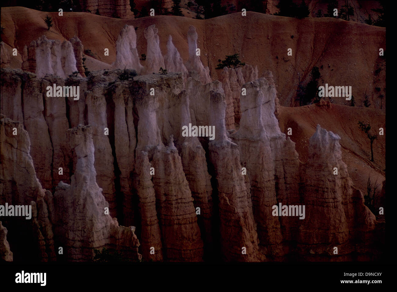 Bryce Canyon National Park in Utah is known for its unique hoodoos—tall ...