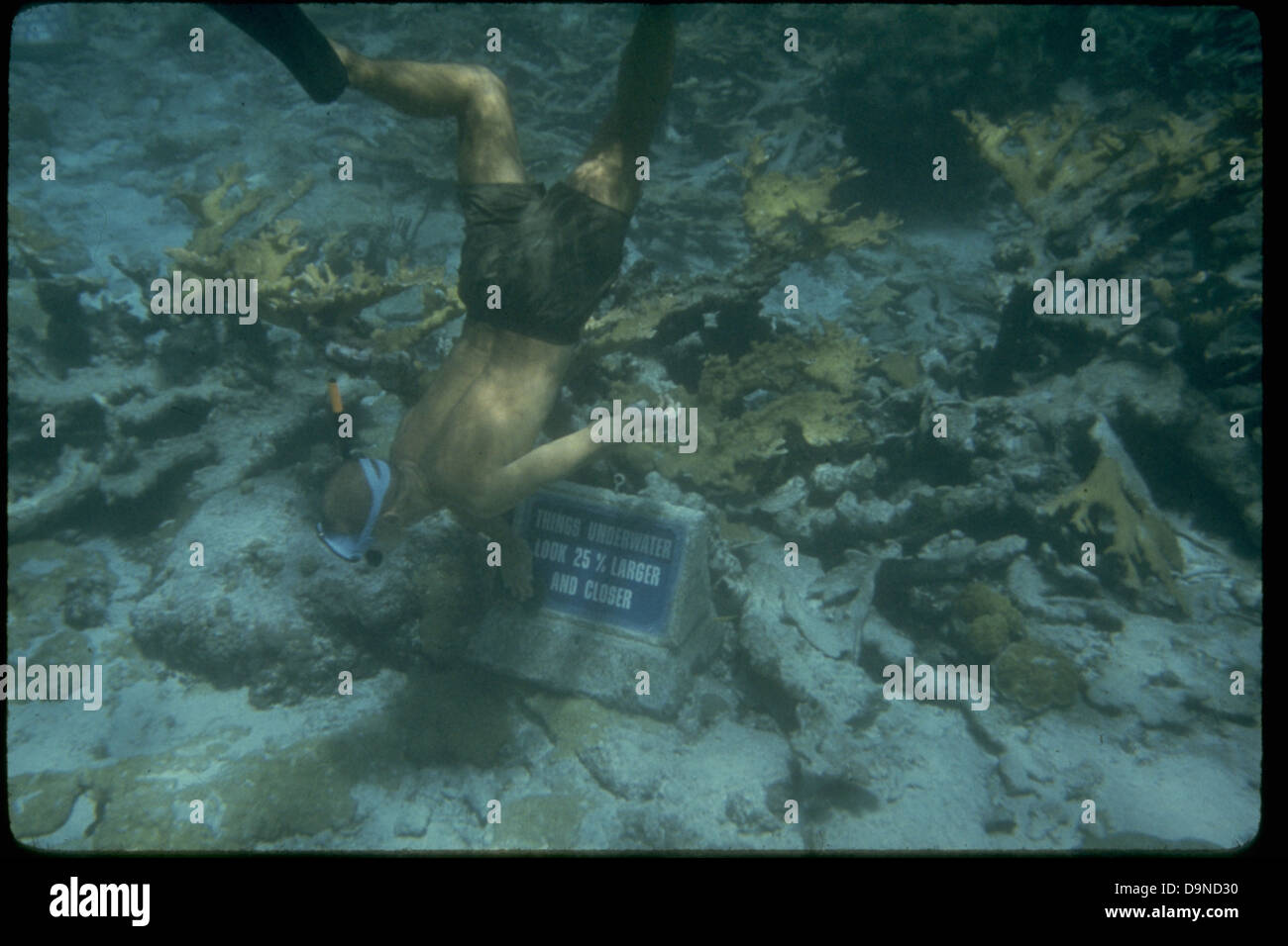 Buck Island Reef National Monument High Resolution Stock Photography ...