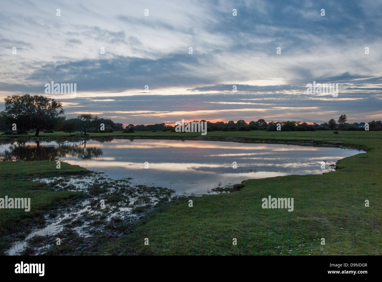 New Forest Sunset Janesmoor Pond Stock Photo - Alamy