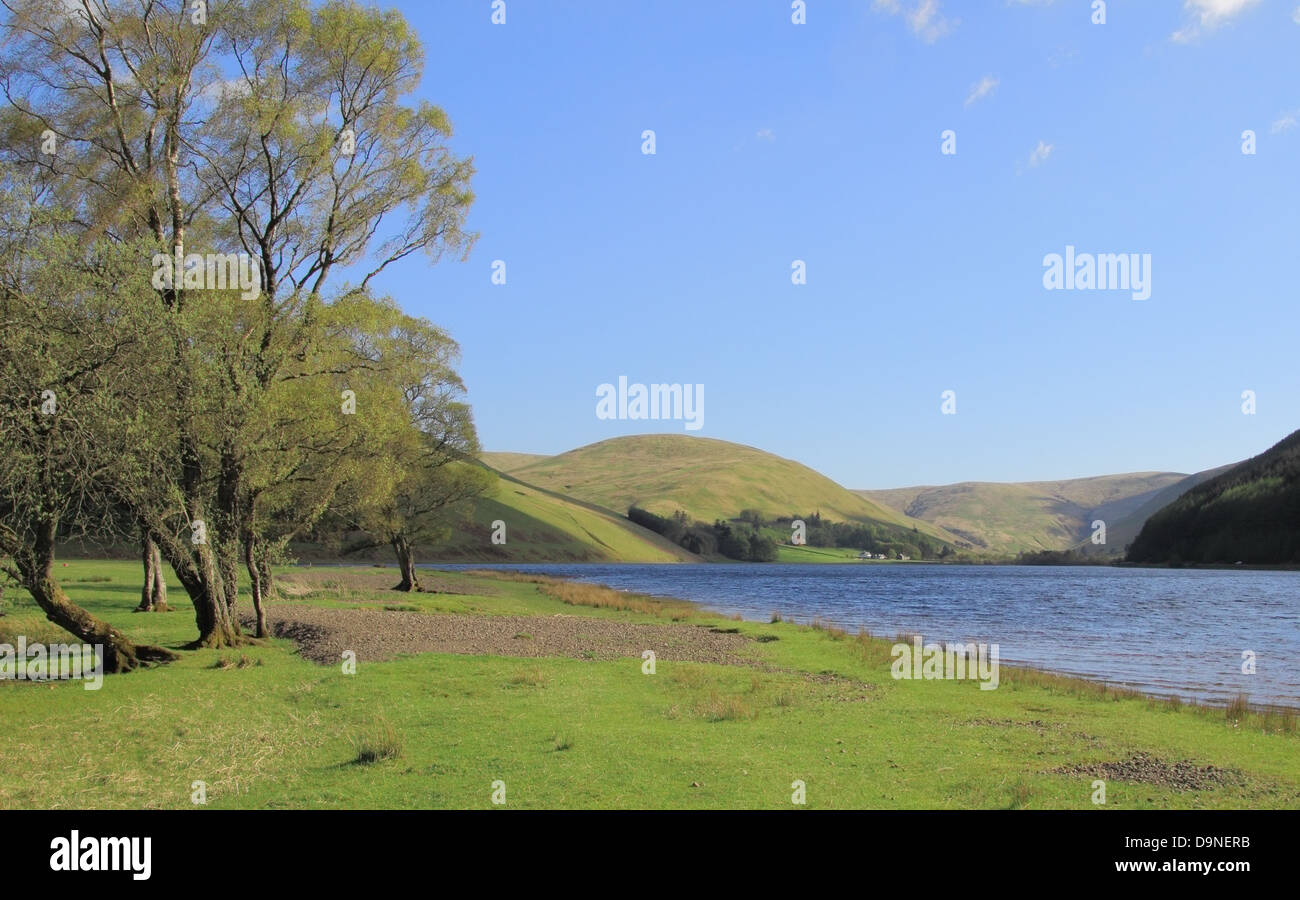 Scotland scottish lochs yarrow valley High Resolution Stock Photography ...