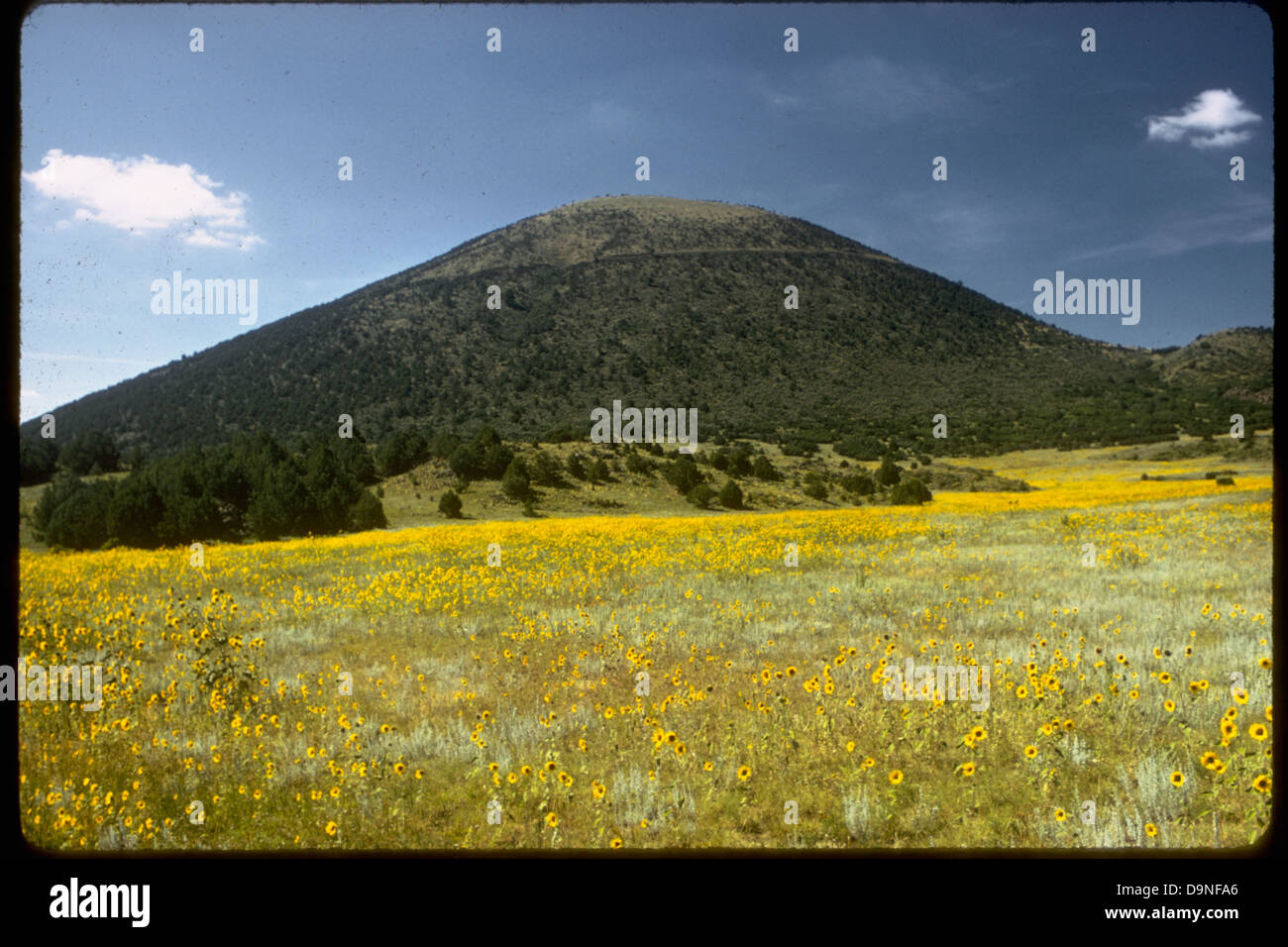 Capulin Volcano National Park CAVO1271 Stock Photo - Alamy