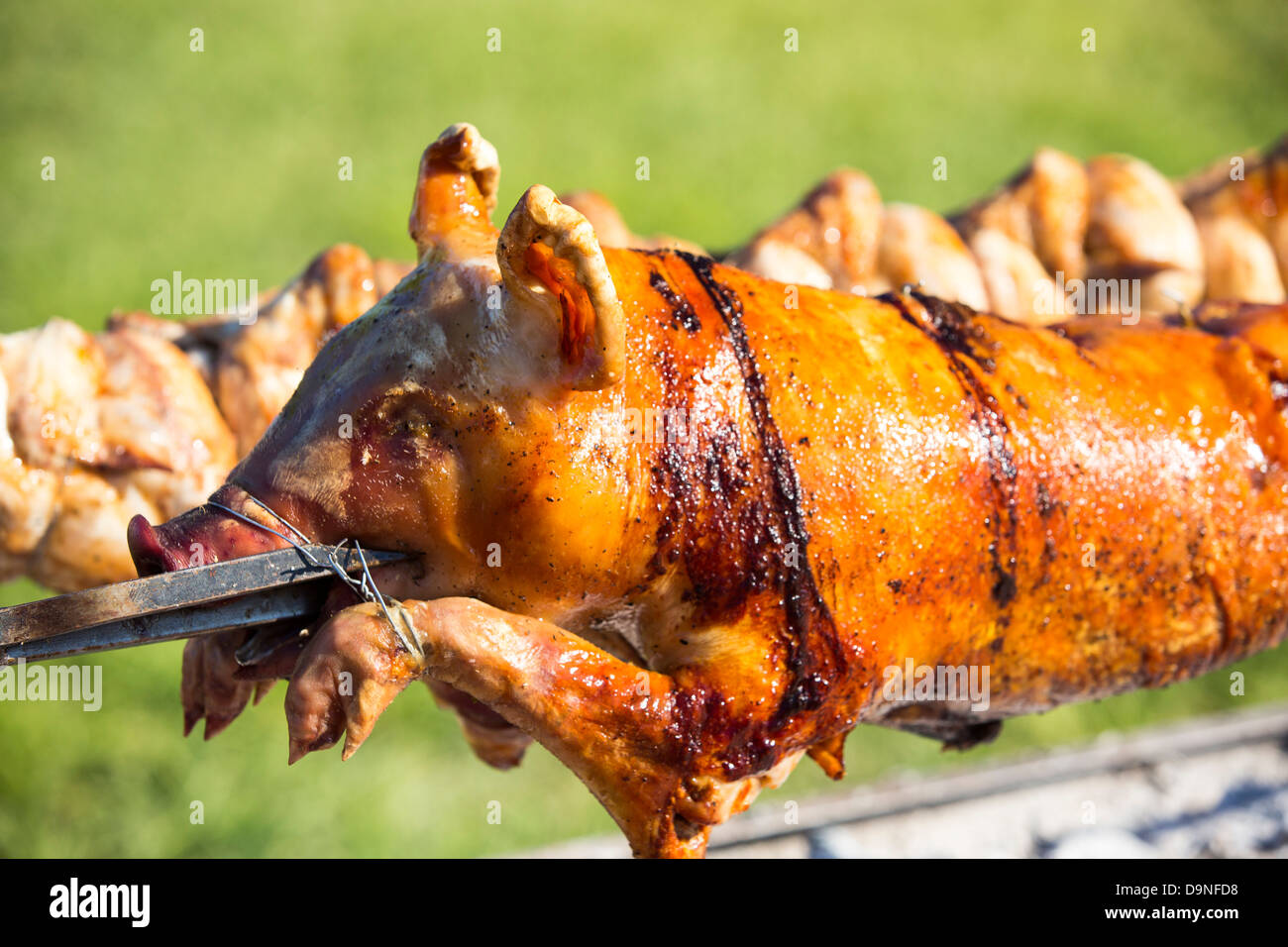 A hog roast and chickens roasting over a charcoal barbeque Stock Photo ...