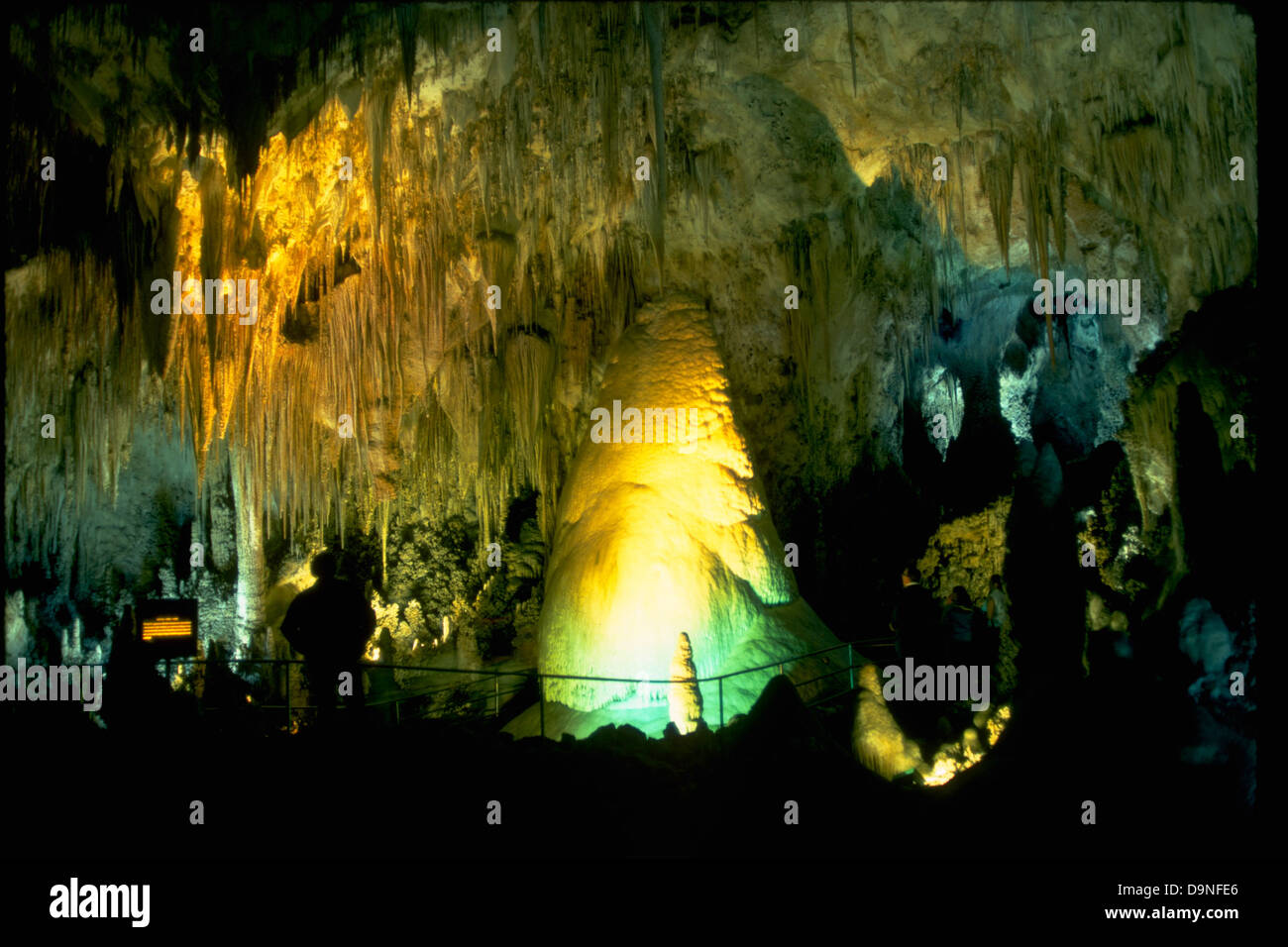 Carlsbad Caverns National Park, located in New Mexico, is home to a ...