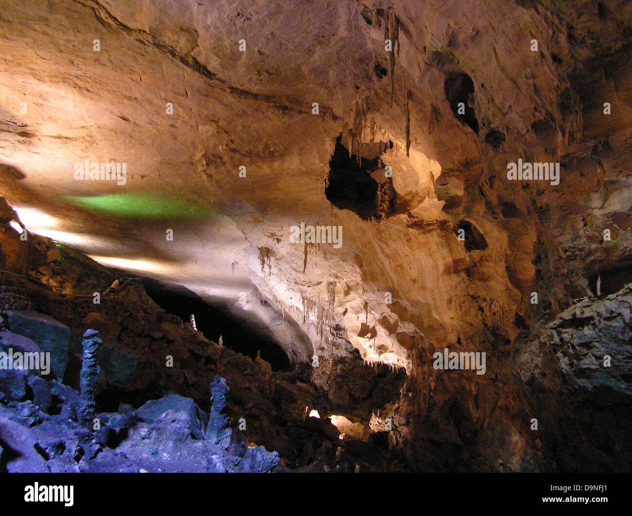Carlsbad Caverns National Park in New Mexico is home to more than 119 ...