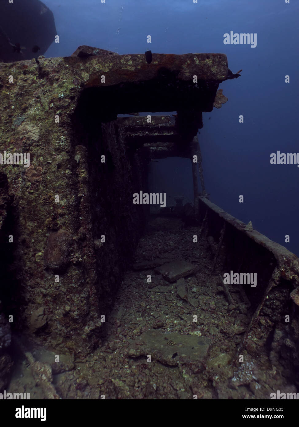 Ss thistlegorm hi-res stock photography and images - Alamy