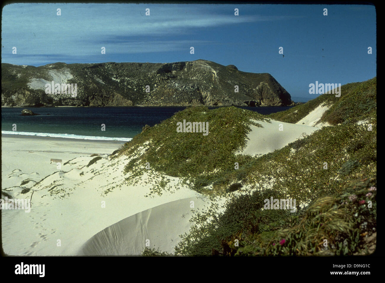 Channel Islands National Park, located off the coast of Southern ...