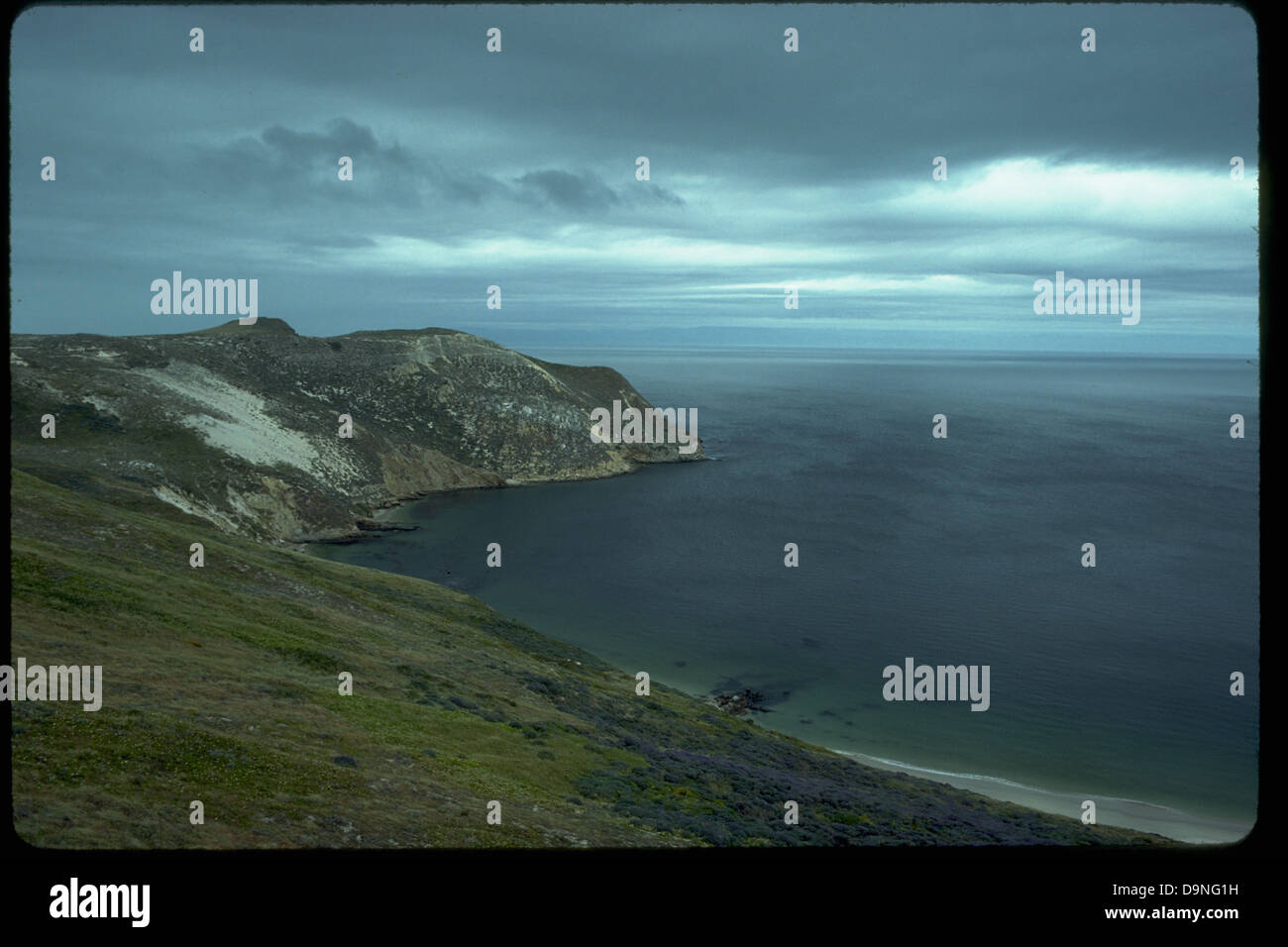 Channel Islands National Park in California preserves a unique ...
