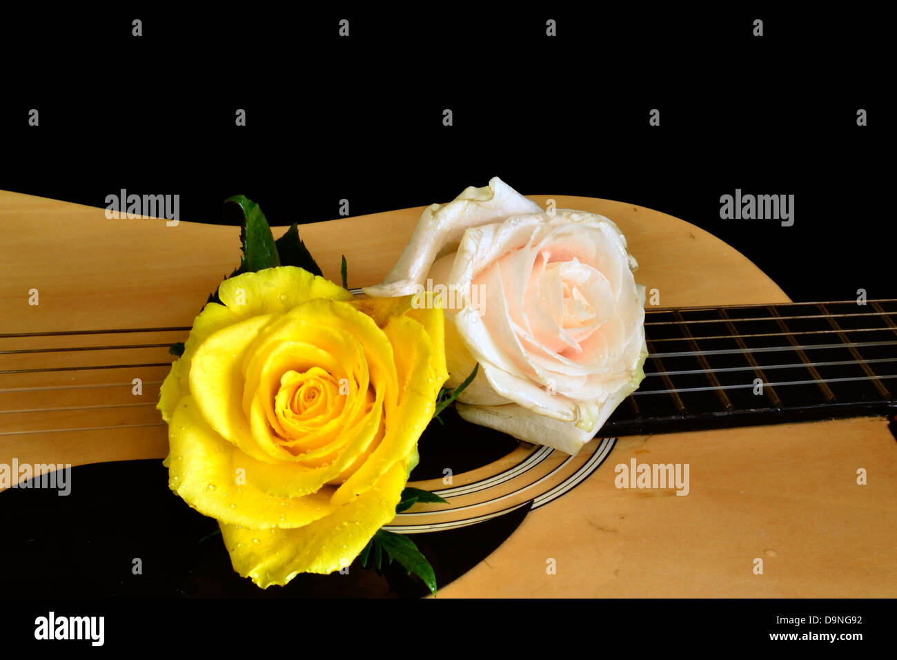 guitar and roses Stock Photo - Alamy