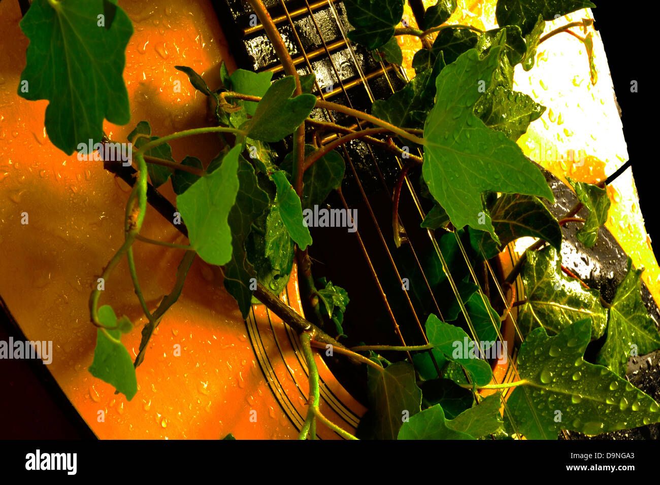 Ivy string hi-res stock photography and images - Alamy