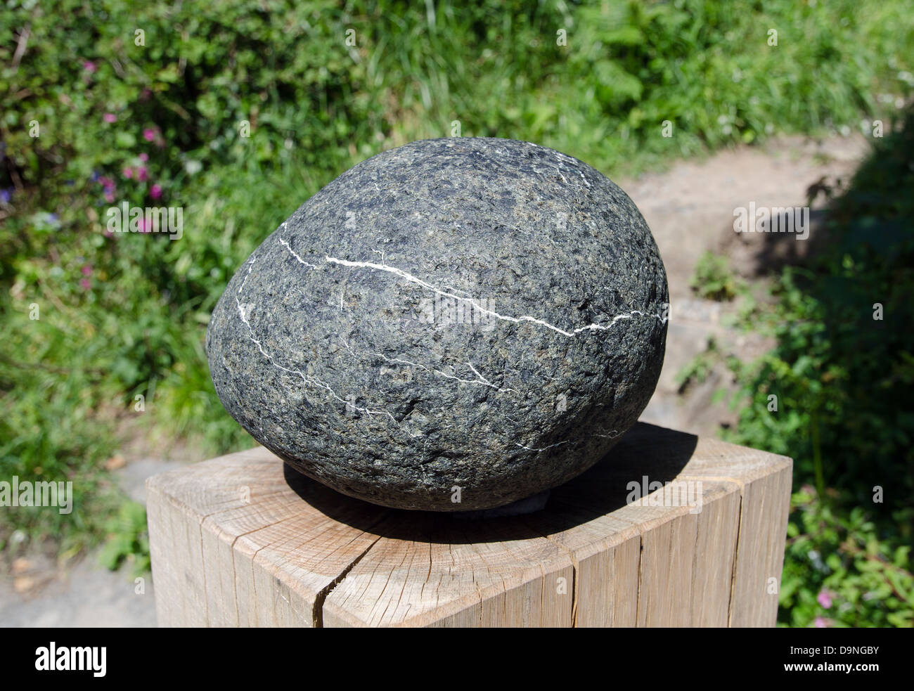 Serpentine rock hi-res stock photography and images - Alamy
