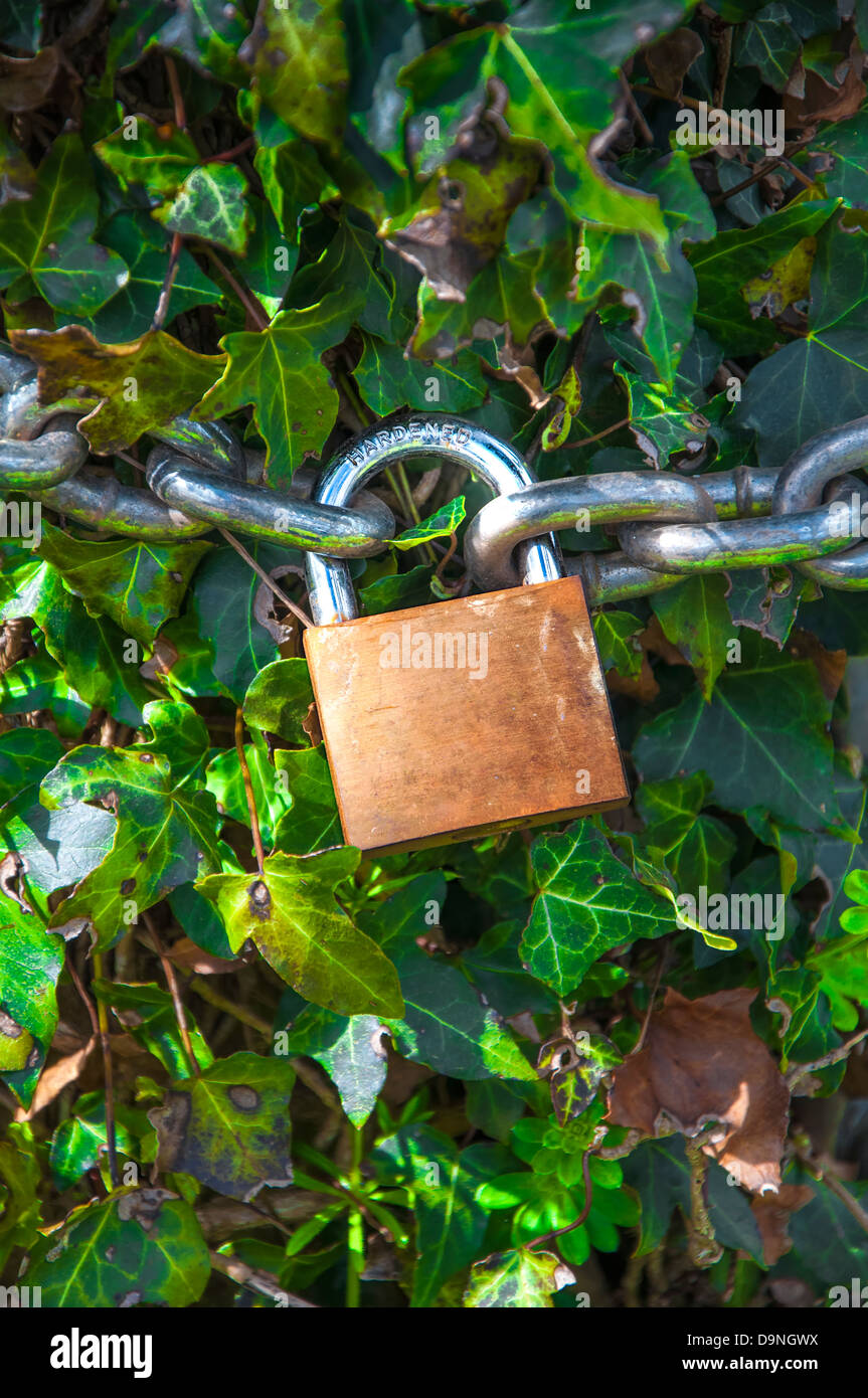 Close-up of padlock and chain around ivy-clad post Stock Photo - Alamy