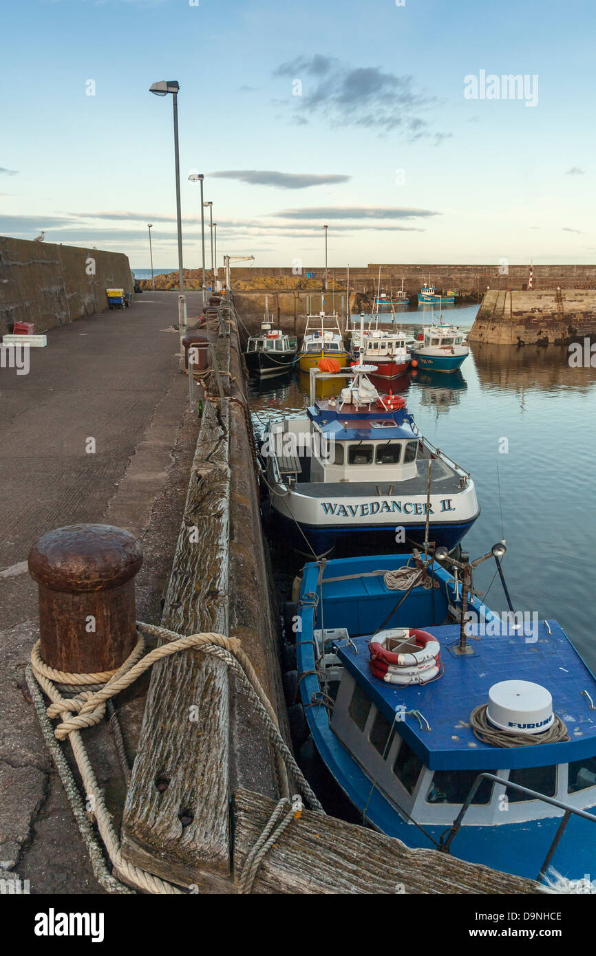 Seahouses northumberland harbour view hi-res stock photography and ...
