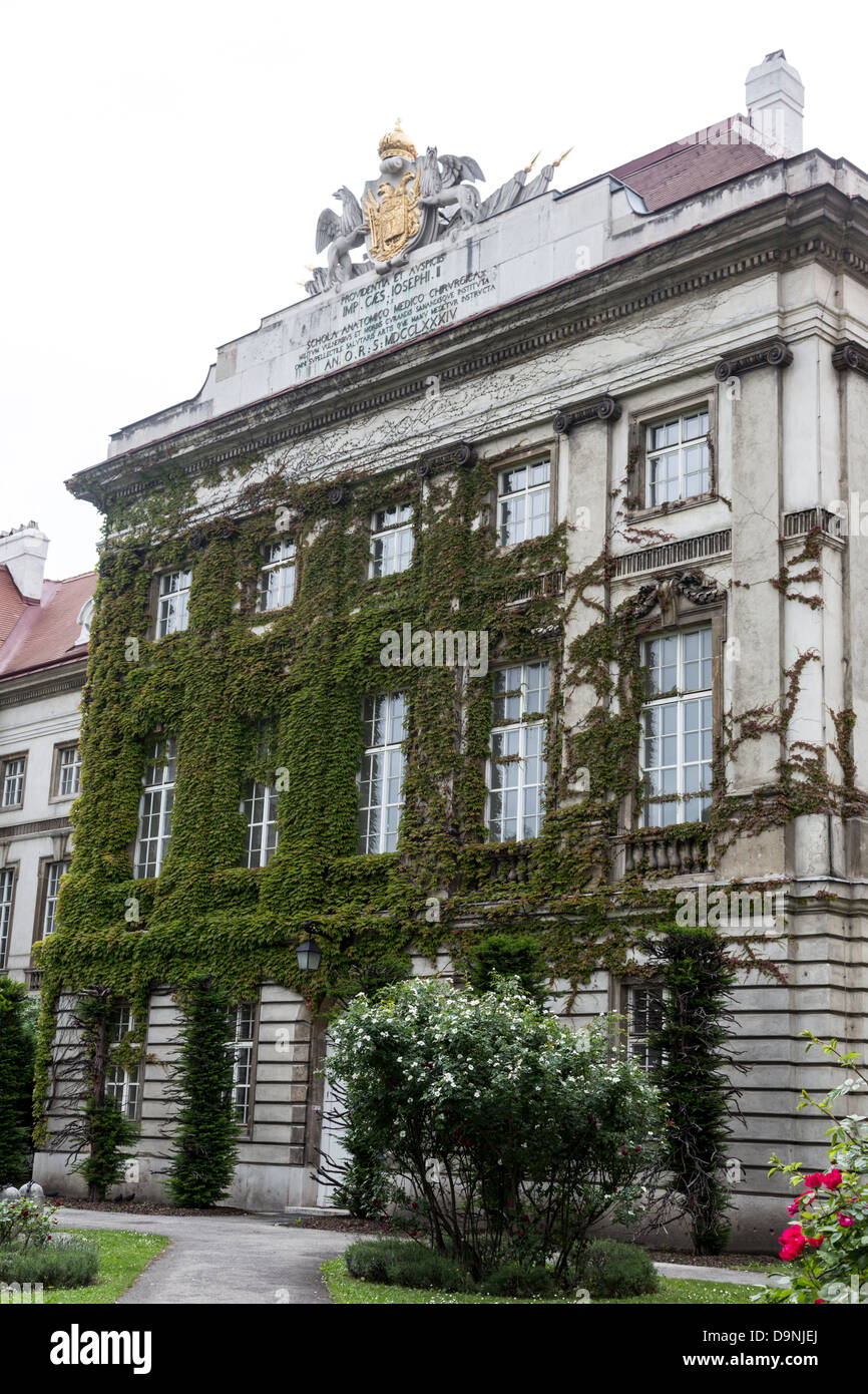 Medical University Of Vienna Logo