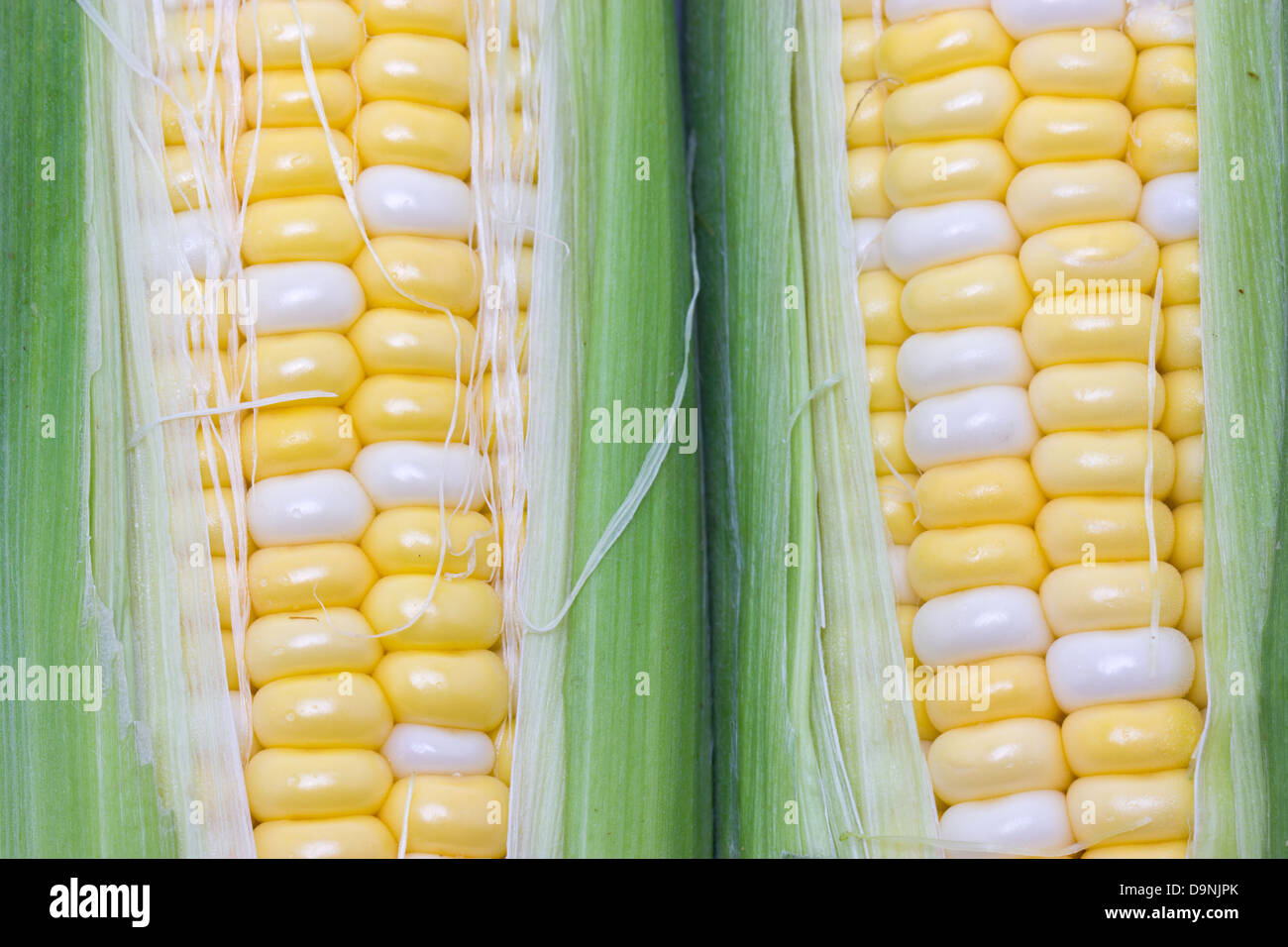 Close up of sweetcorn Stock Photo - Alamy