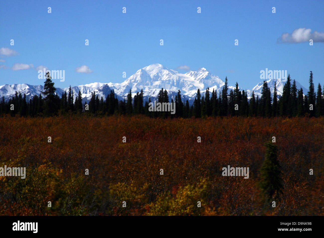 Denali National Park in Alaska features North America's highest peak ...