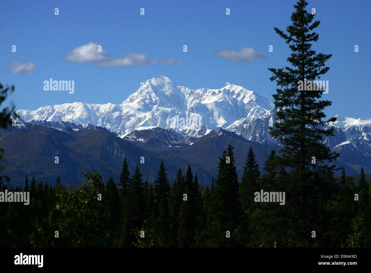 Denali National Park and Preserve in Alaska is home to North America's ...