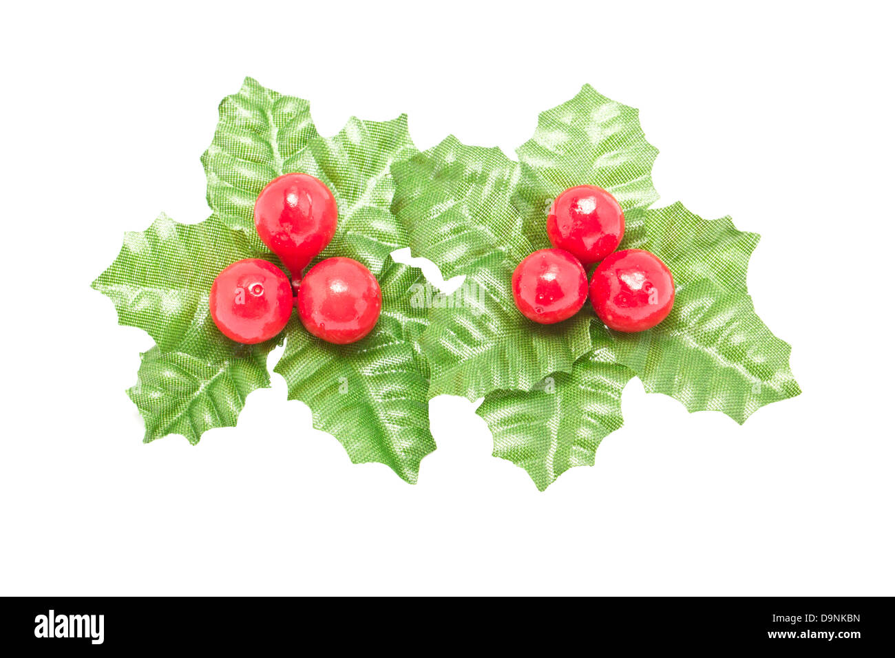 Still life sprig of holly isolated on white background Stock Photo - Alamy