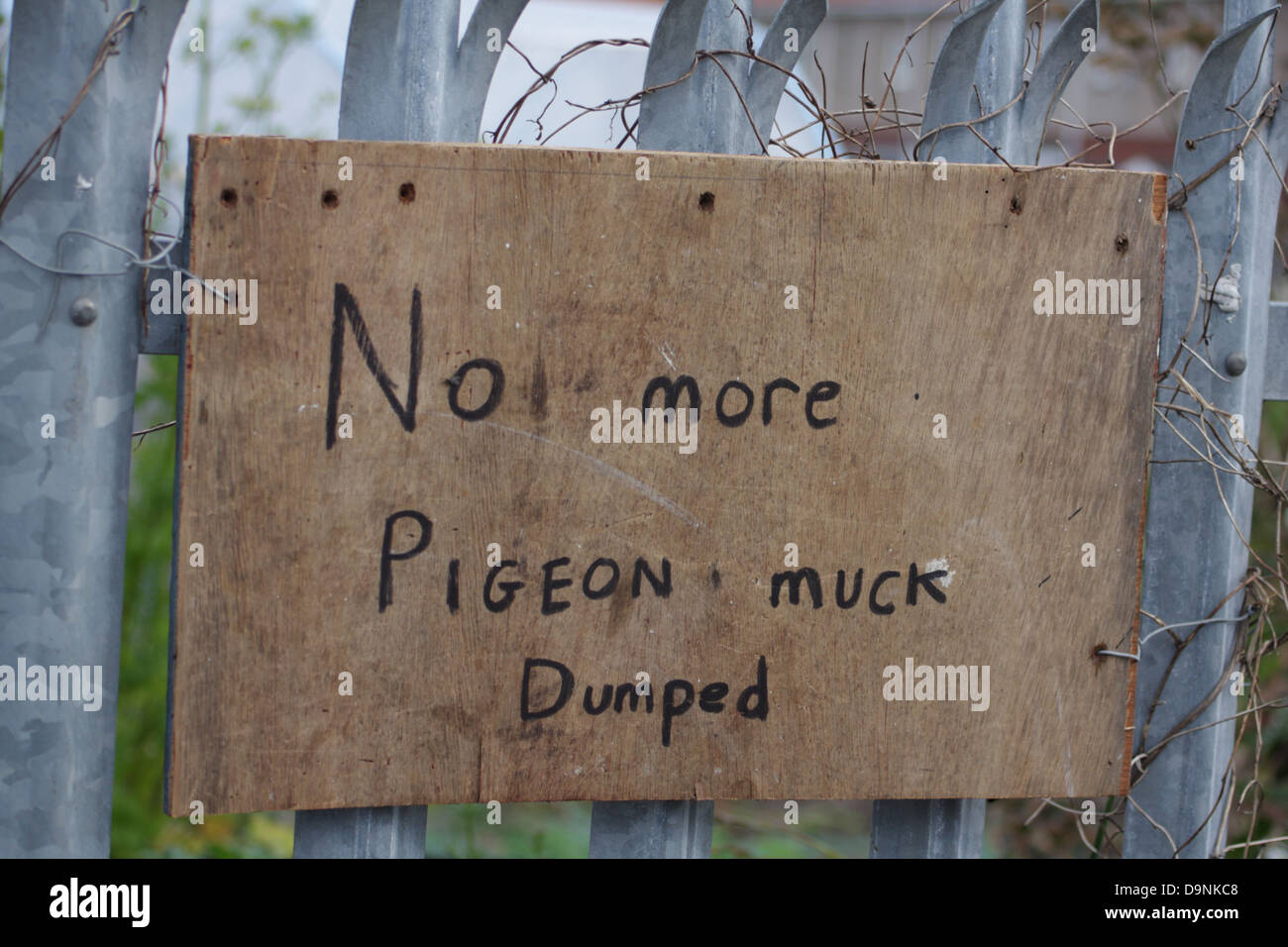 Pigeon muck hi-res stock photography and images - Alamy