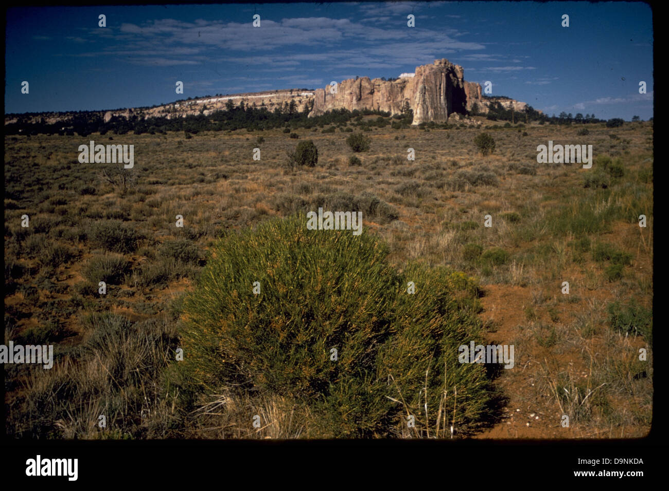 El Morro National Monument in New Mexico is known for its ancient ...
