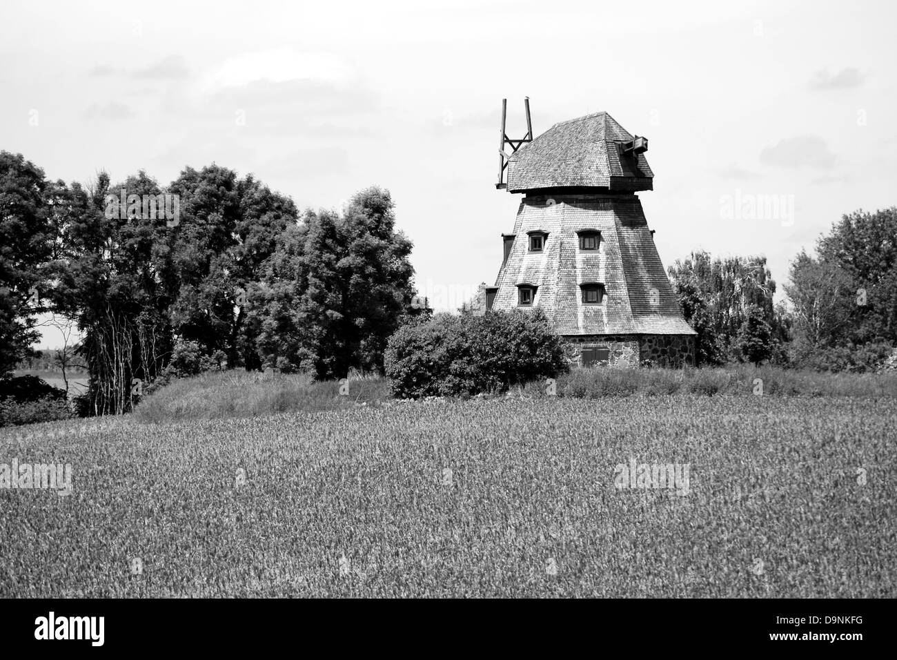 Baume und busche hi-res stock photography and images - Alamy