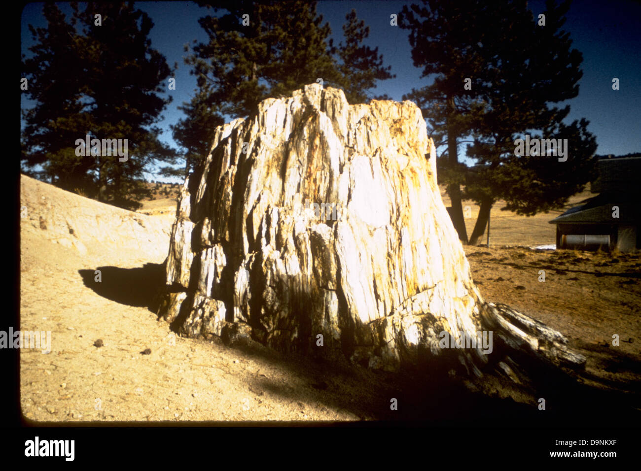 Florissant Fossil Beds National Monument preserves a rich collection of ...