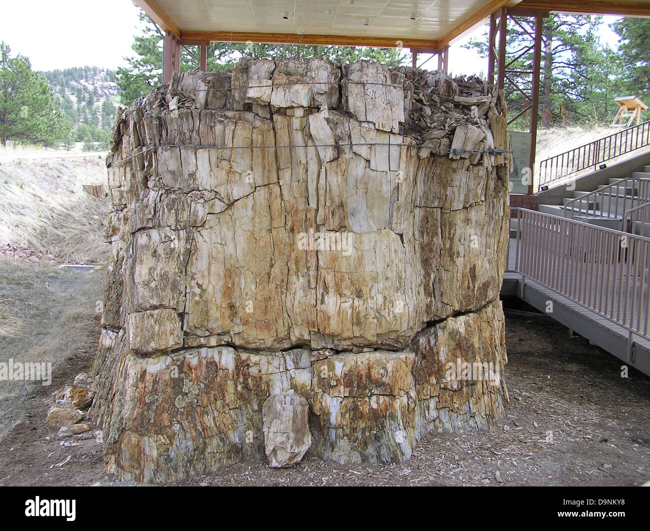 Florissant Fossil Beds National Monument in Colorado preserves ancient ...