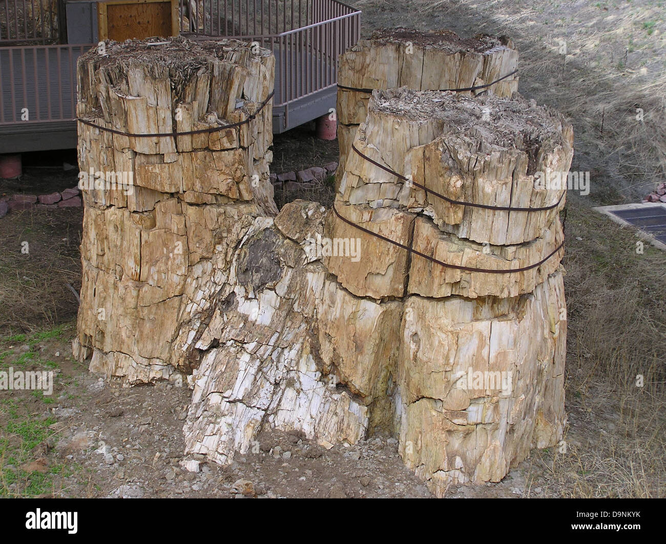 Florissant Fossil Beds National Monument, located in Colorado, is known ...