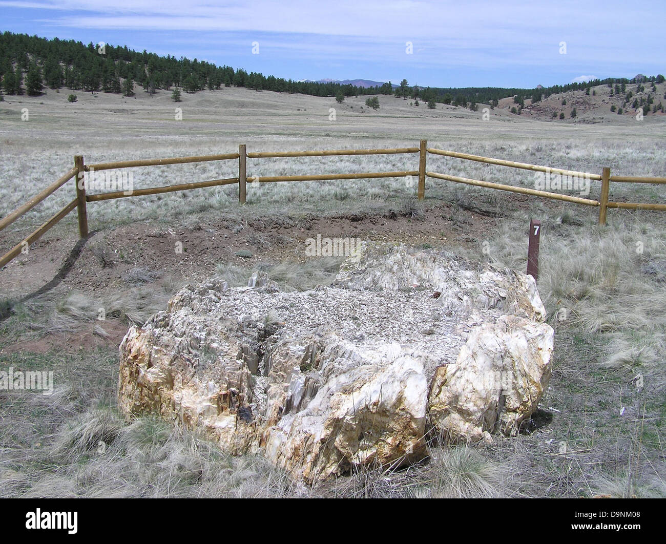Florissant Fossil Beds National Monument in Colorado is home to ...