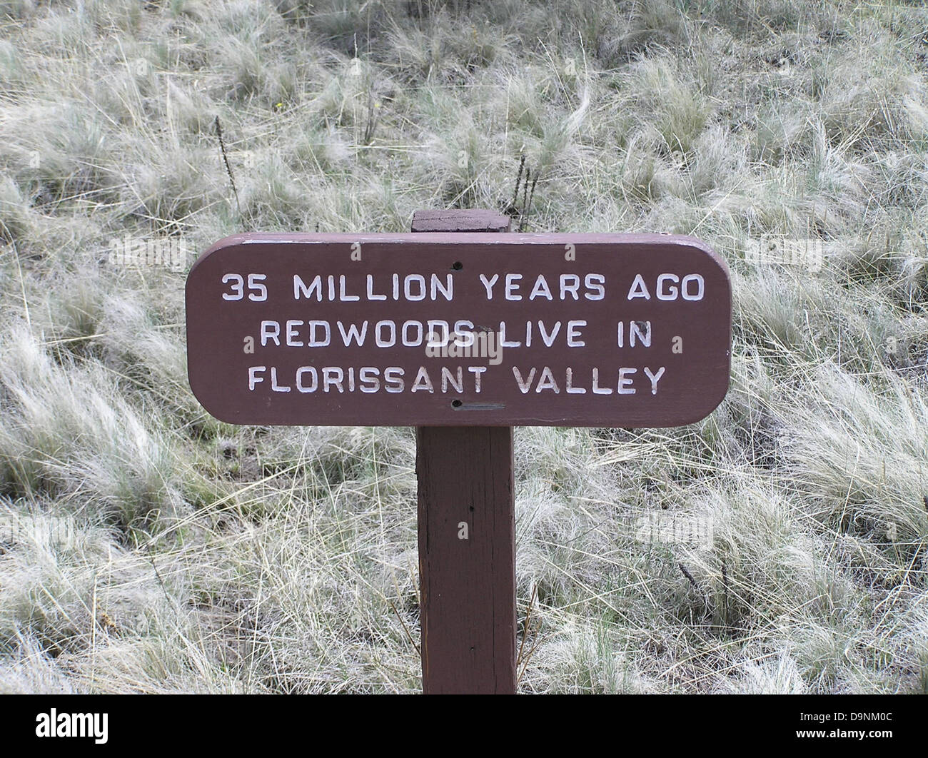 Florissant Fossil Beds National Monument in Colorado preserves a unique ...