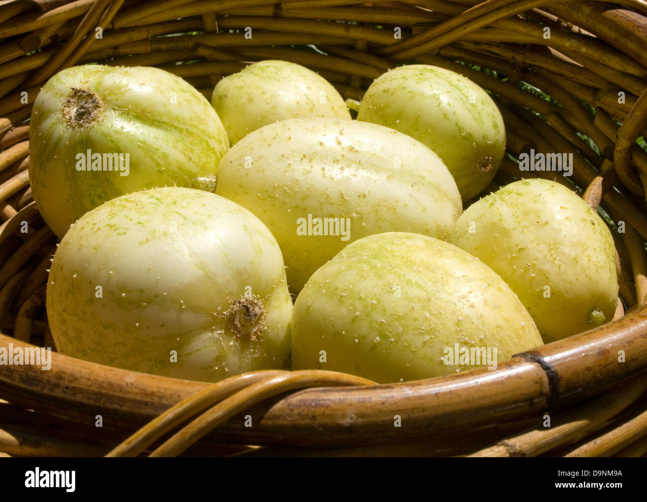Crystal apple cucumber hi-res stock photography and images - Alamy