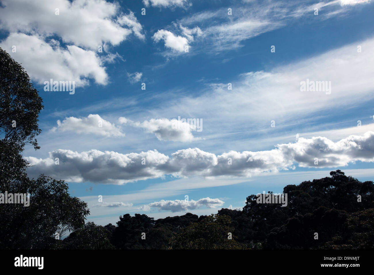 Stratus/ Stratocumlus/ Alstostratus/ Cirrcumulus and Cirrus Clouds ...