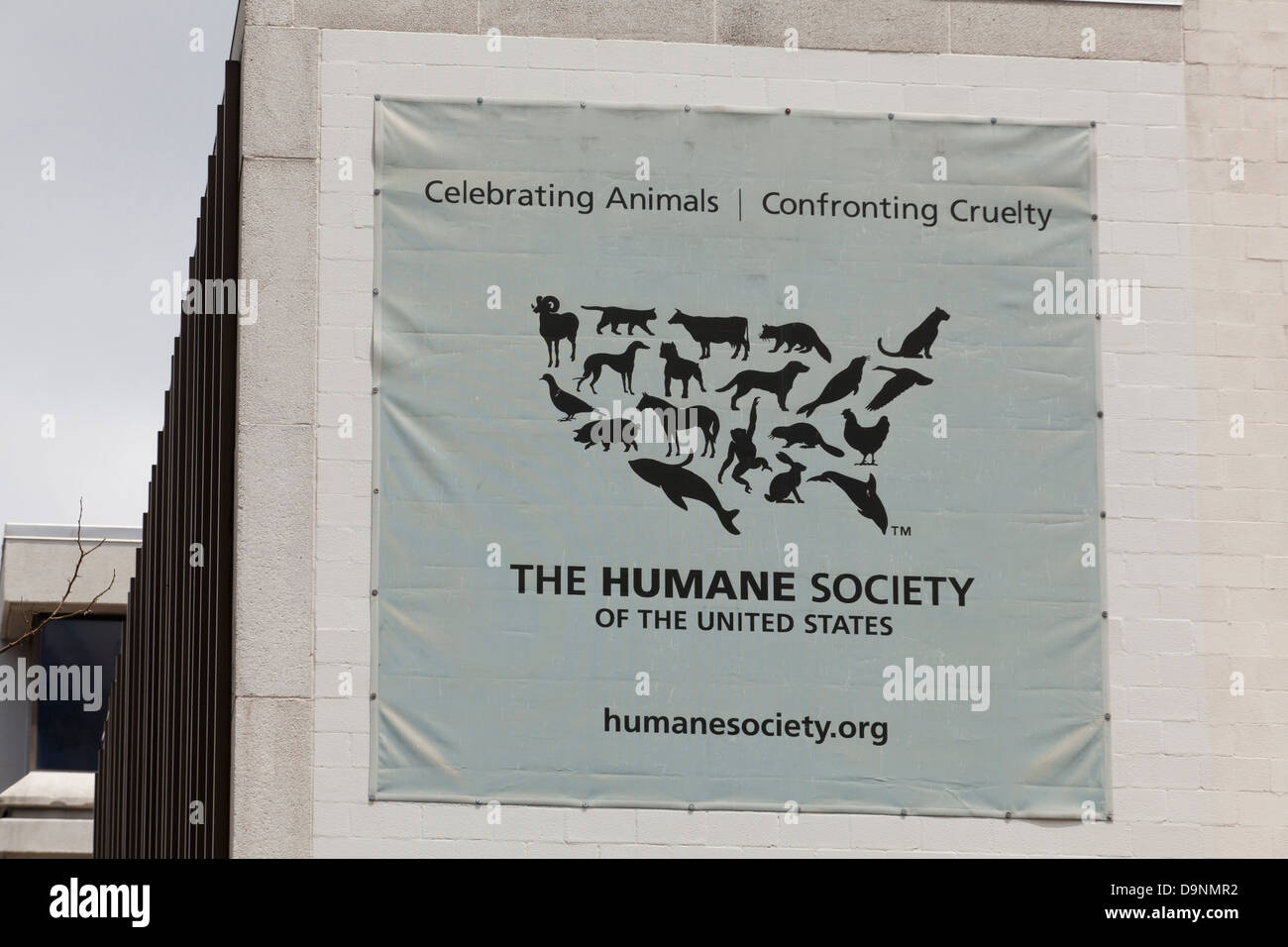 The Humane Society headquarters building, Washington DC Stock Photo - Alamy