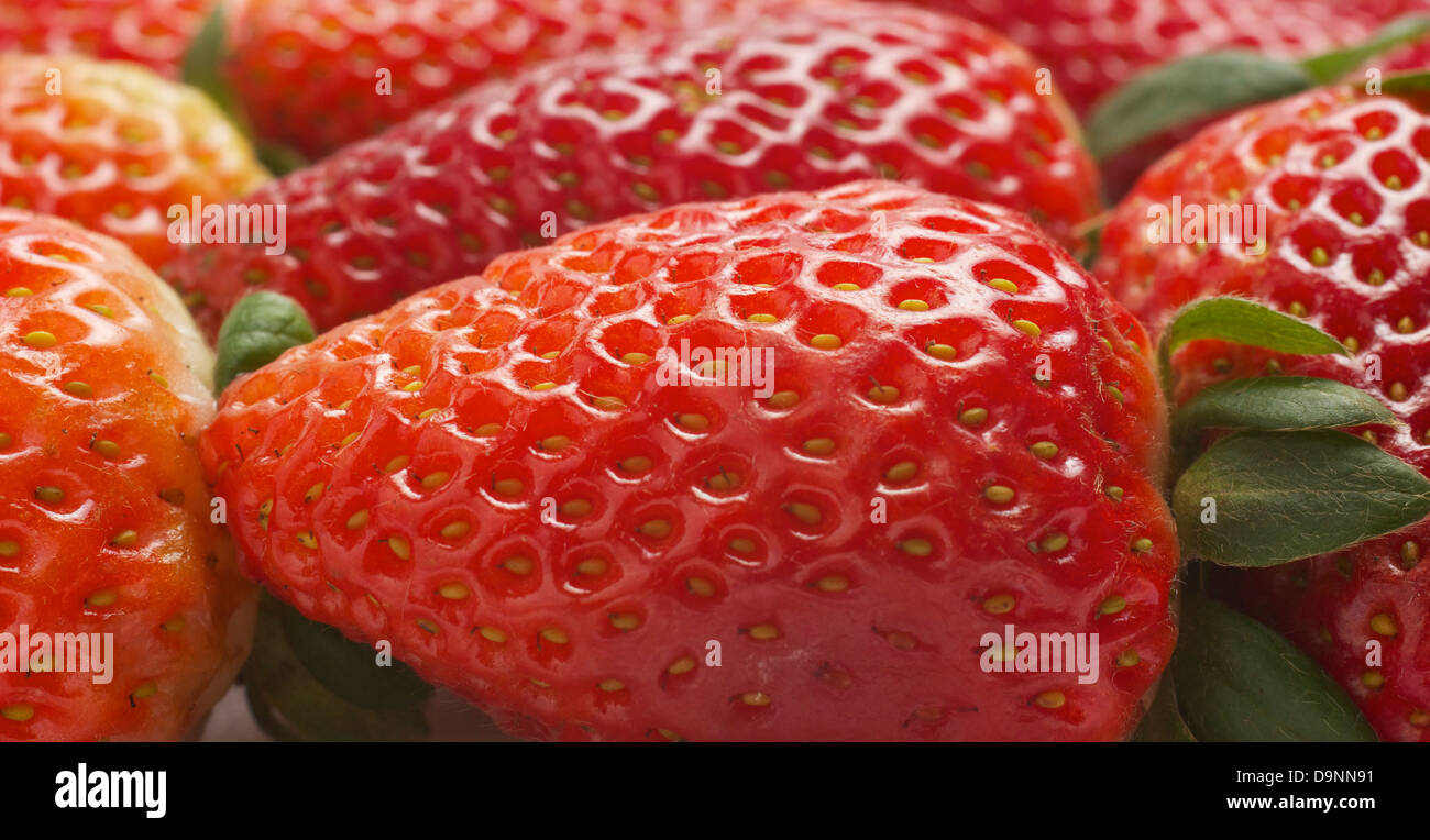Many strawberries in a macro view - full frame Stock Photo - Alamy