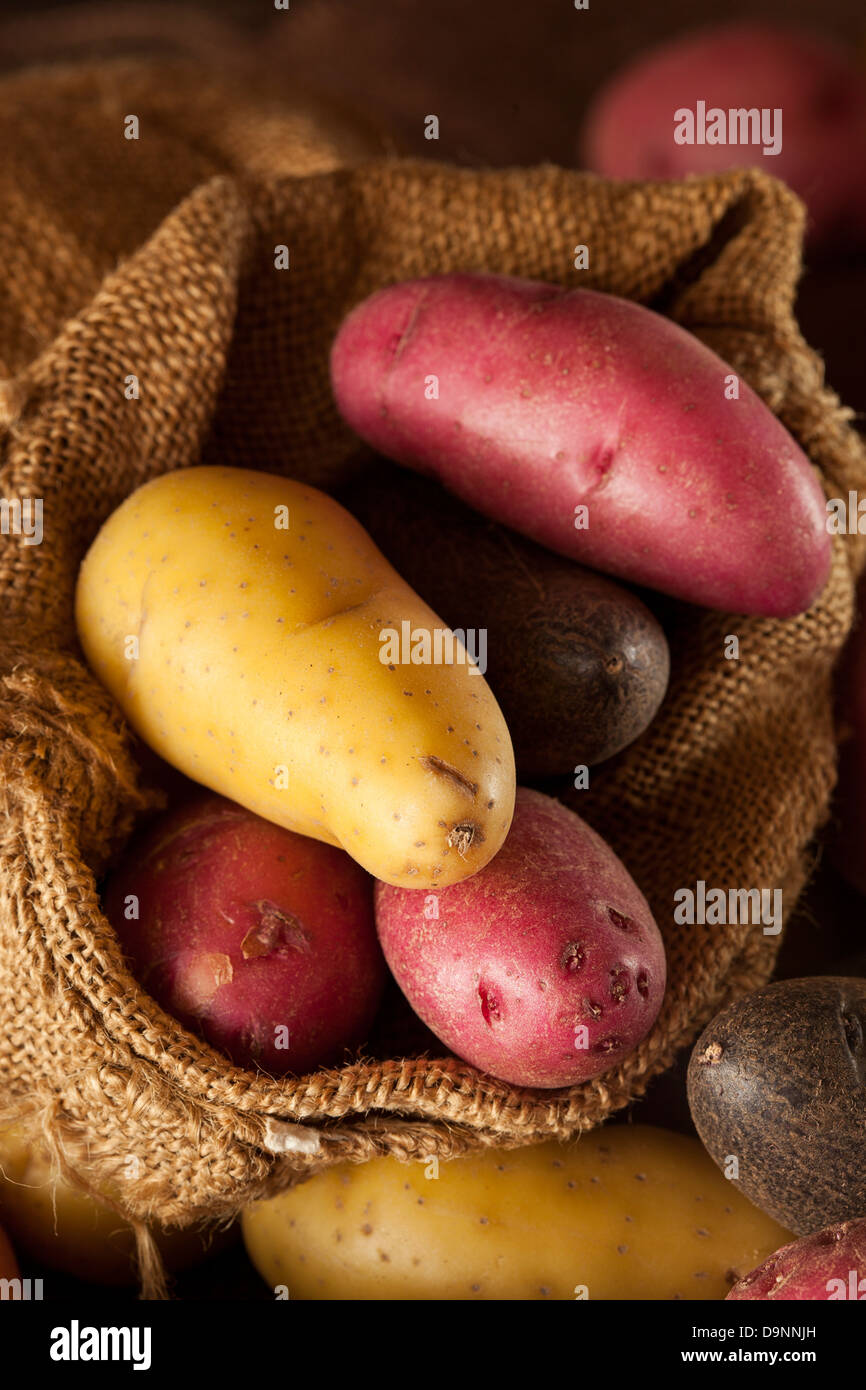 Fingerling potato hi-res stock photography and images - Alamy