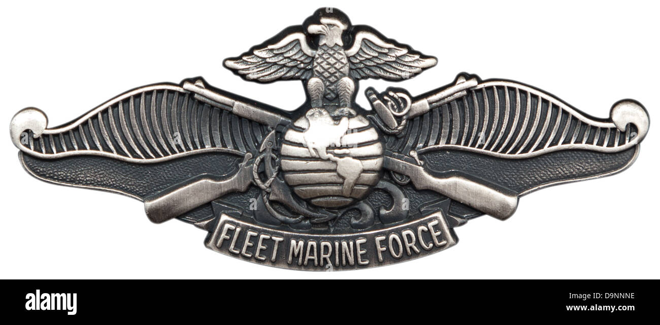 Cutout of the US Navy Fleet Marine Force badge Stock Photo - Alamy