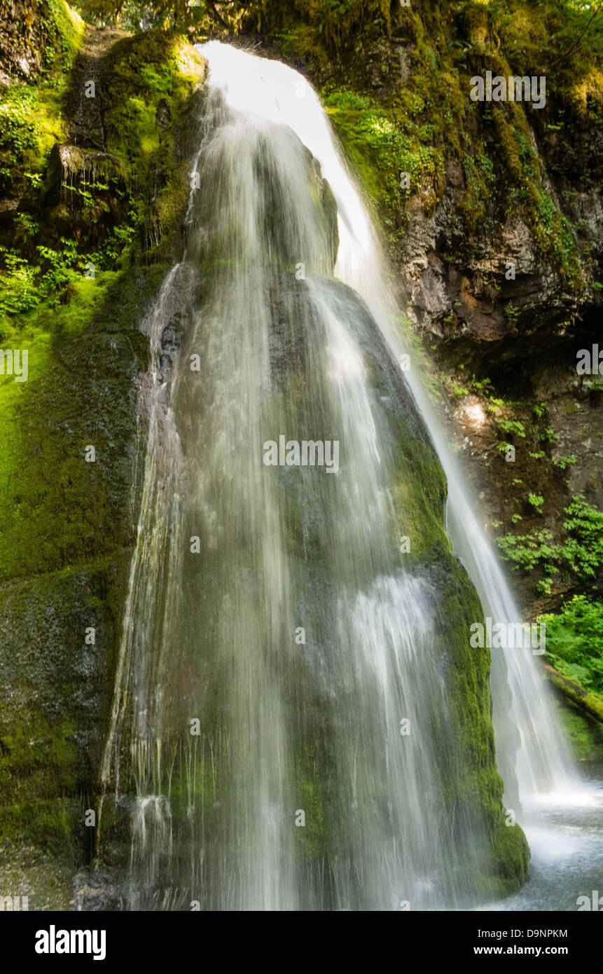 Dorena Oregon United States. Spirit Falls is a secluded waterfall on ...