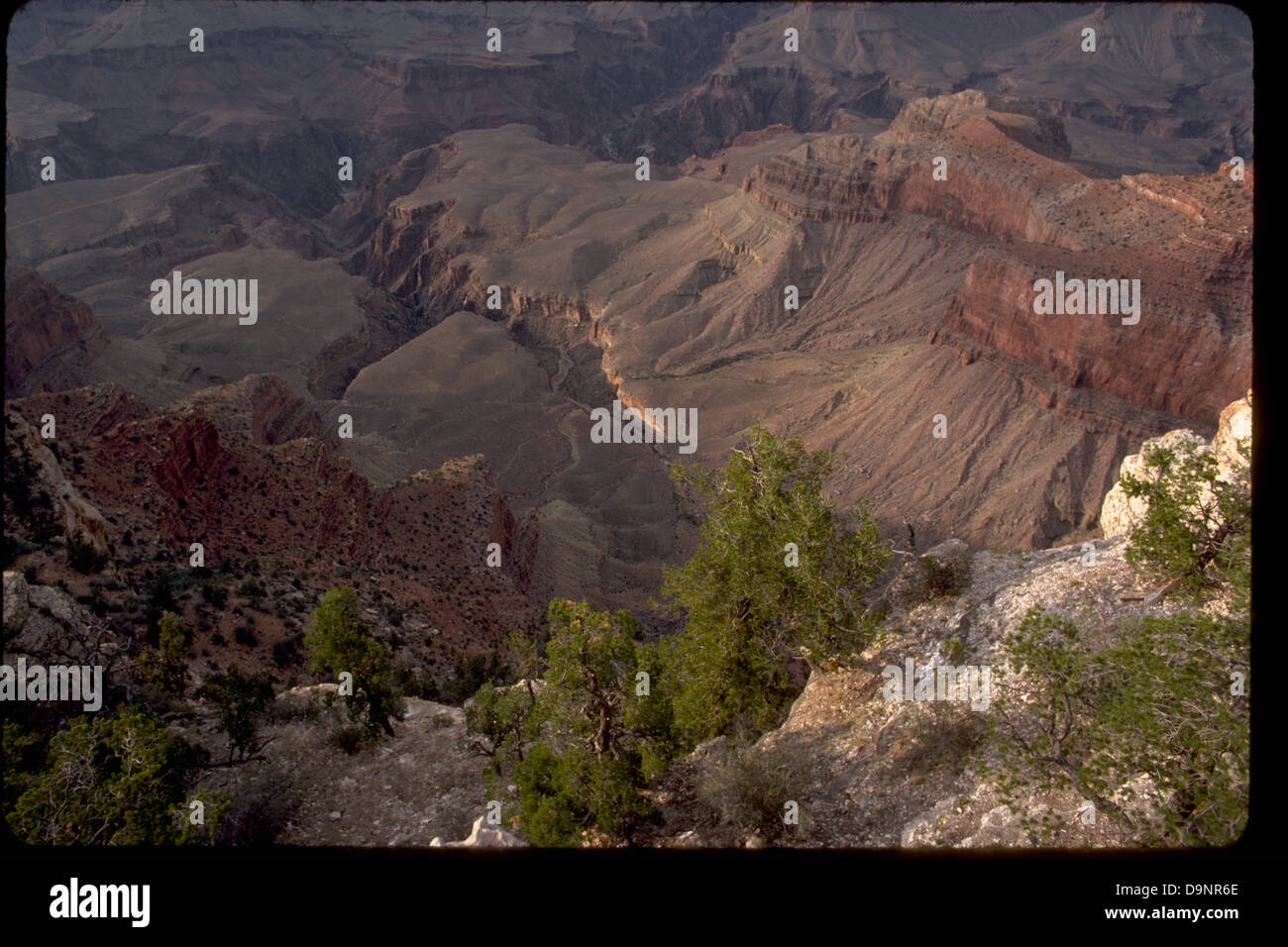 Grand Canyon National Park, located in Arizona, is renowned for its ...