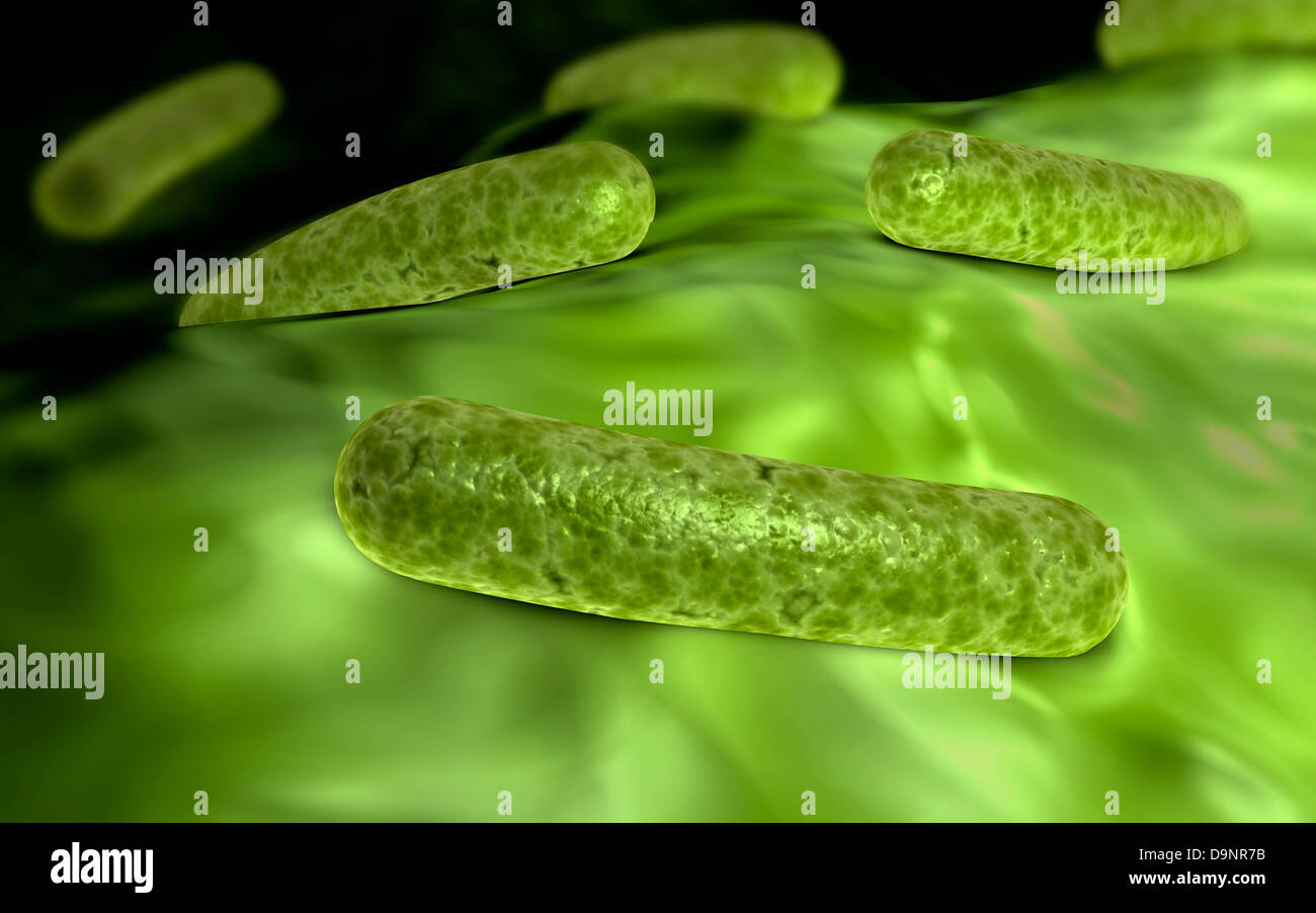 Microscopic organisms hi-res stock photography and images - Alamy