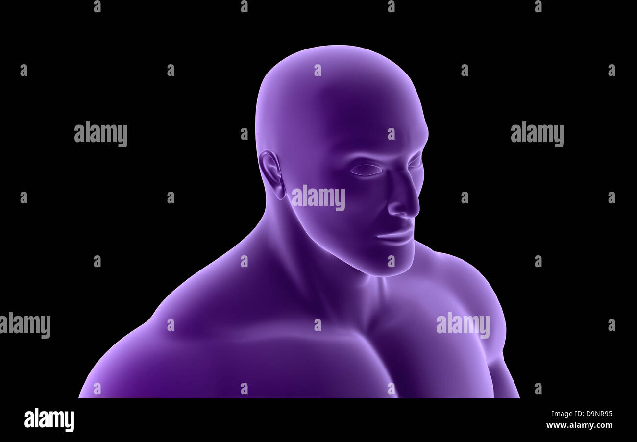 Upper chest anatomy hi-res stock photography and images - Alamy