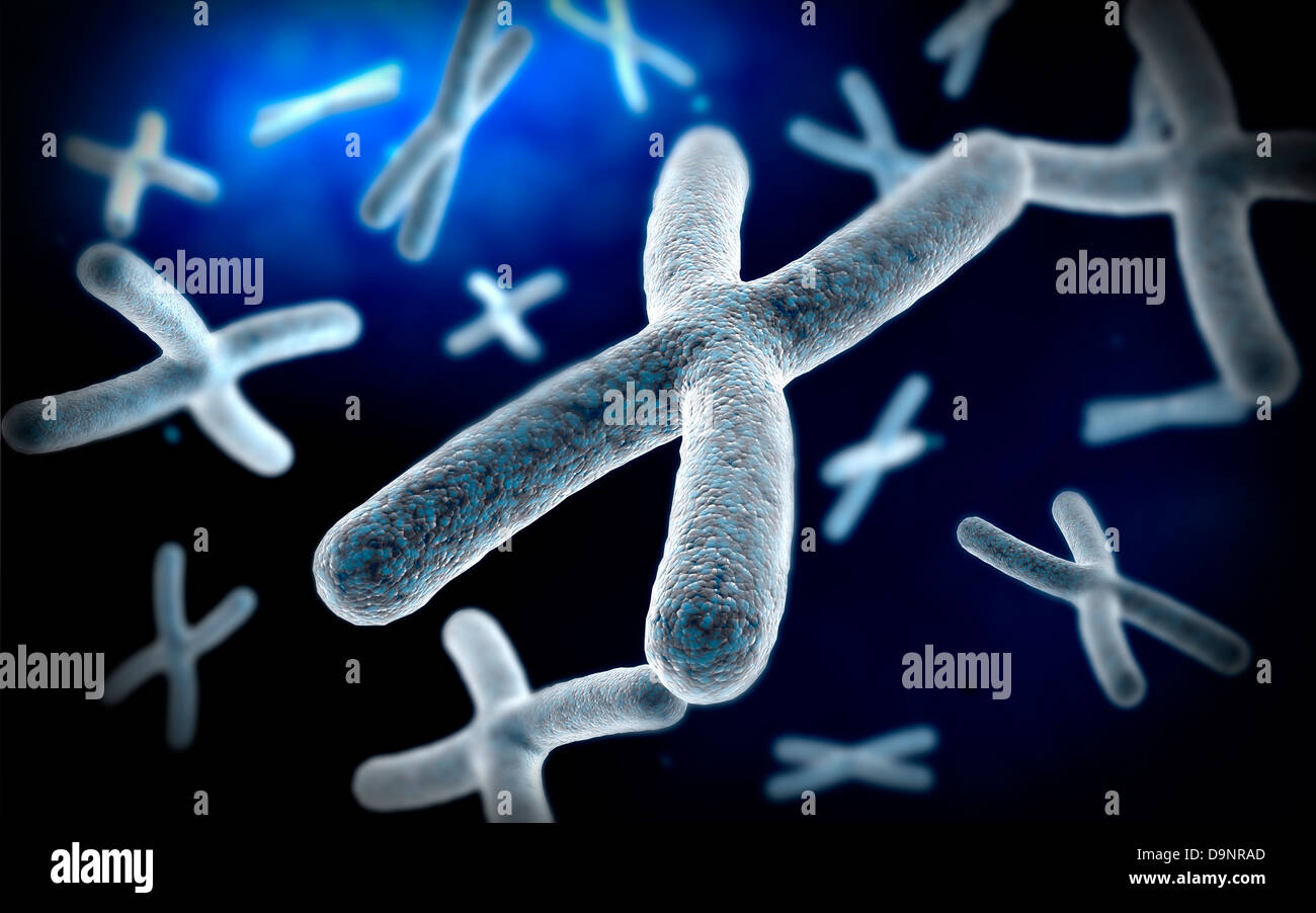 Microscopic view of chromosome Stock Photo - Alamy