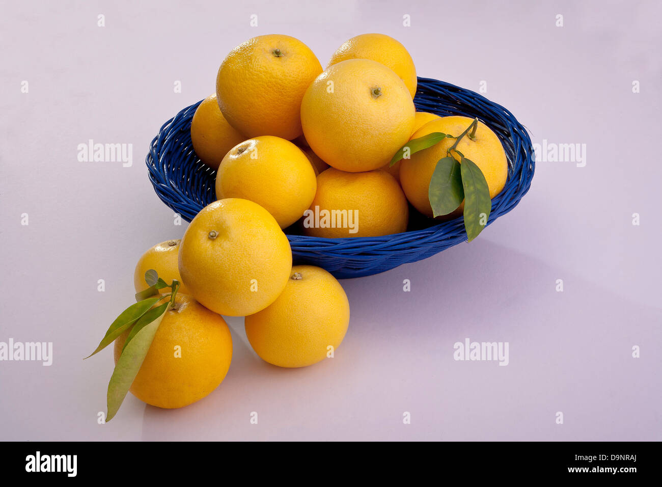 group of fresh california white grapefruit cut and whole Stock Photo ...