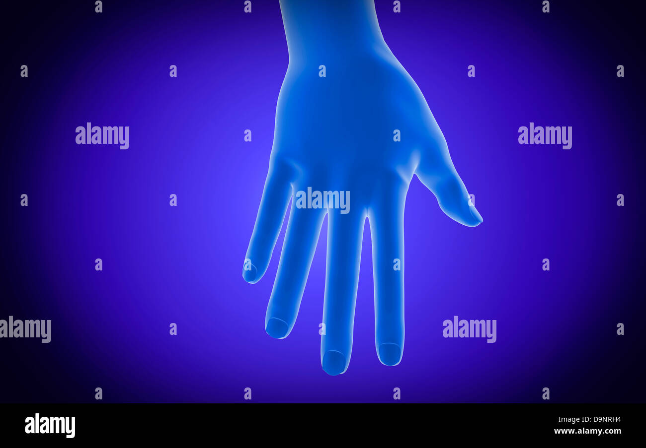 Hand anatomy artwork hi-res stock photography and images - Alamy