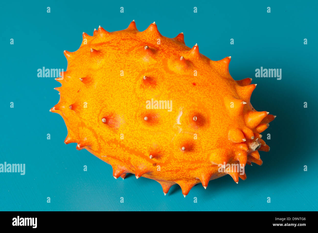 Organic Orange Kiwano Melon with Prickly Spikes Stock Photo - Alamy
