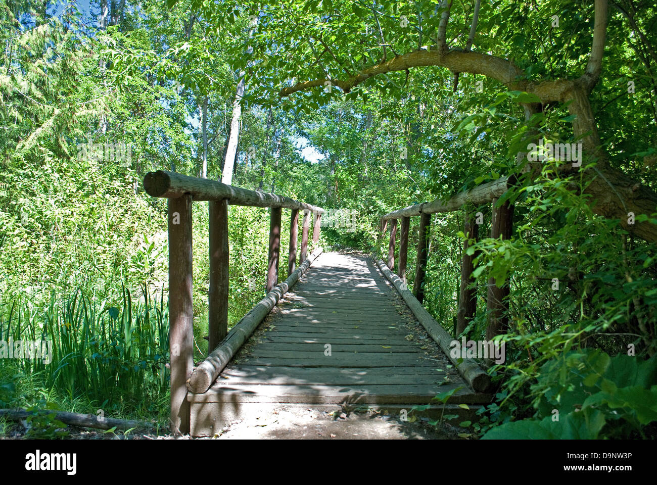 Wooden Foot Bridge Stock Photo - Alamy