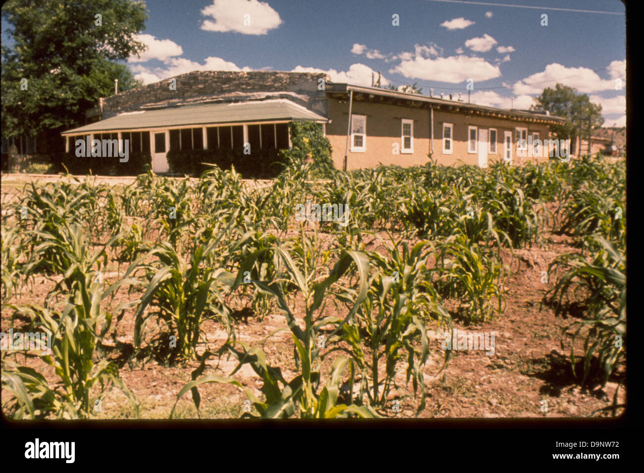 Hubbell Trading Post National Historical Site preserves the historical ...