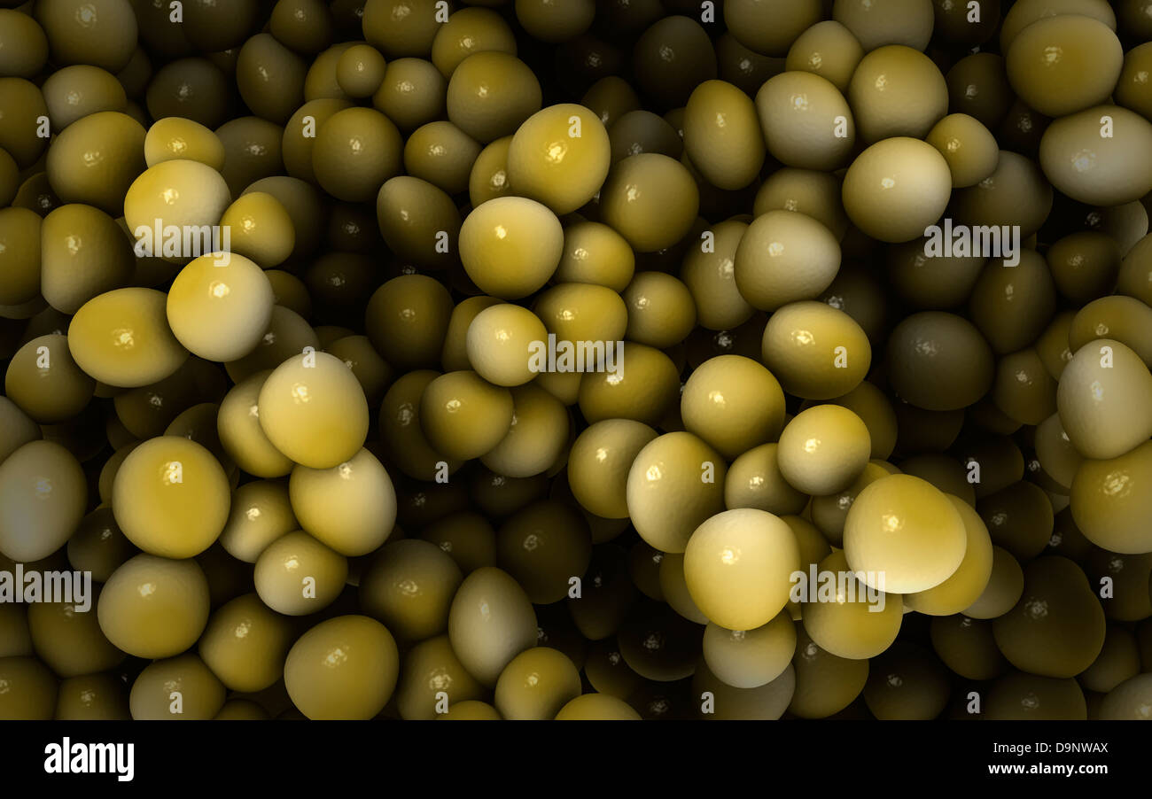 Microscopic view of staphylococcus Stock Photo - Alamy