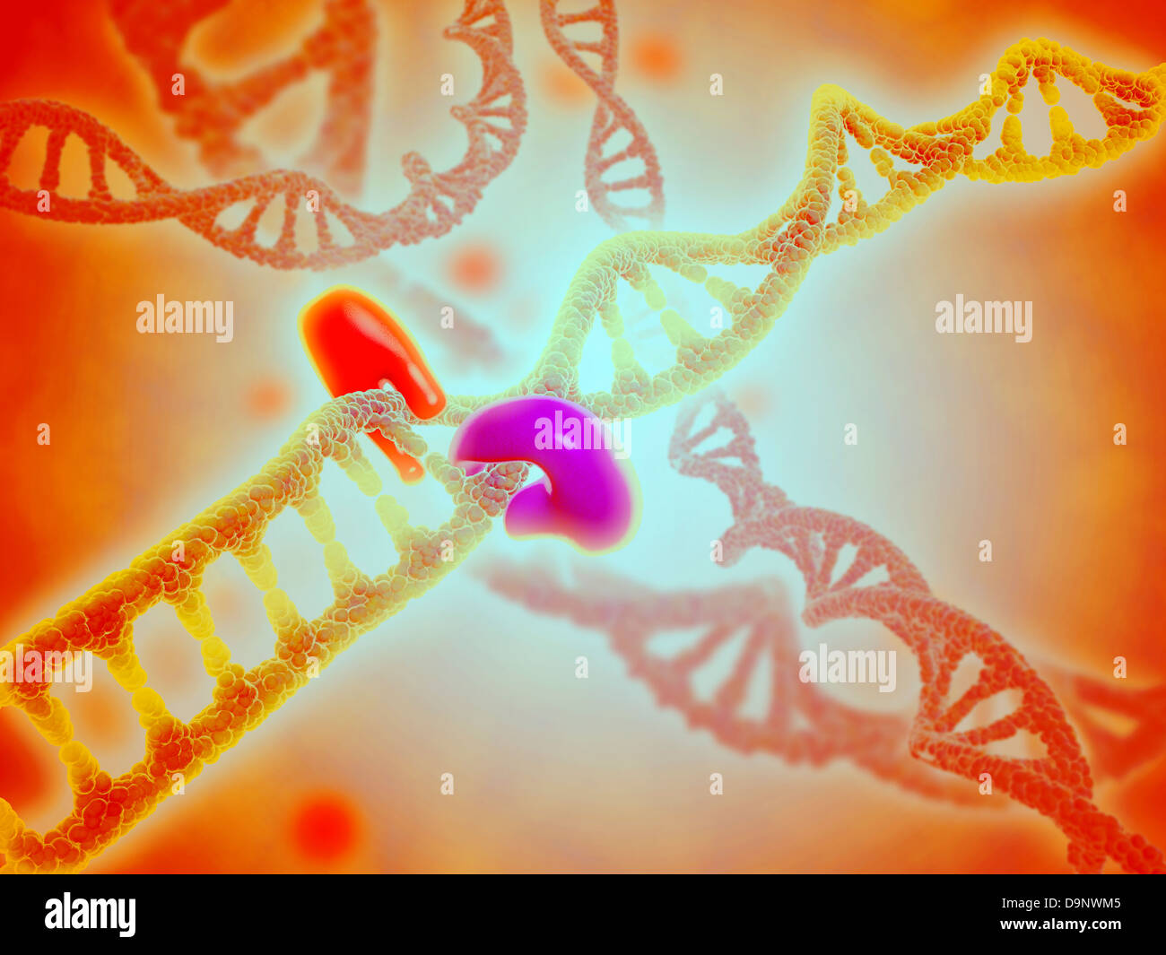 Microscopic view of DNA binding Stock Photo - Alamy