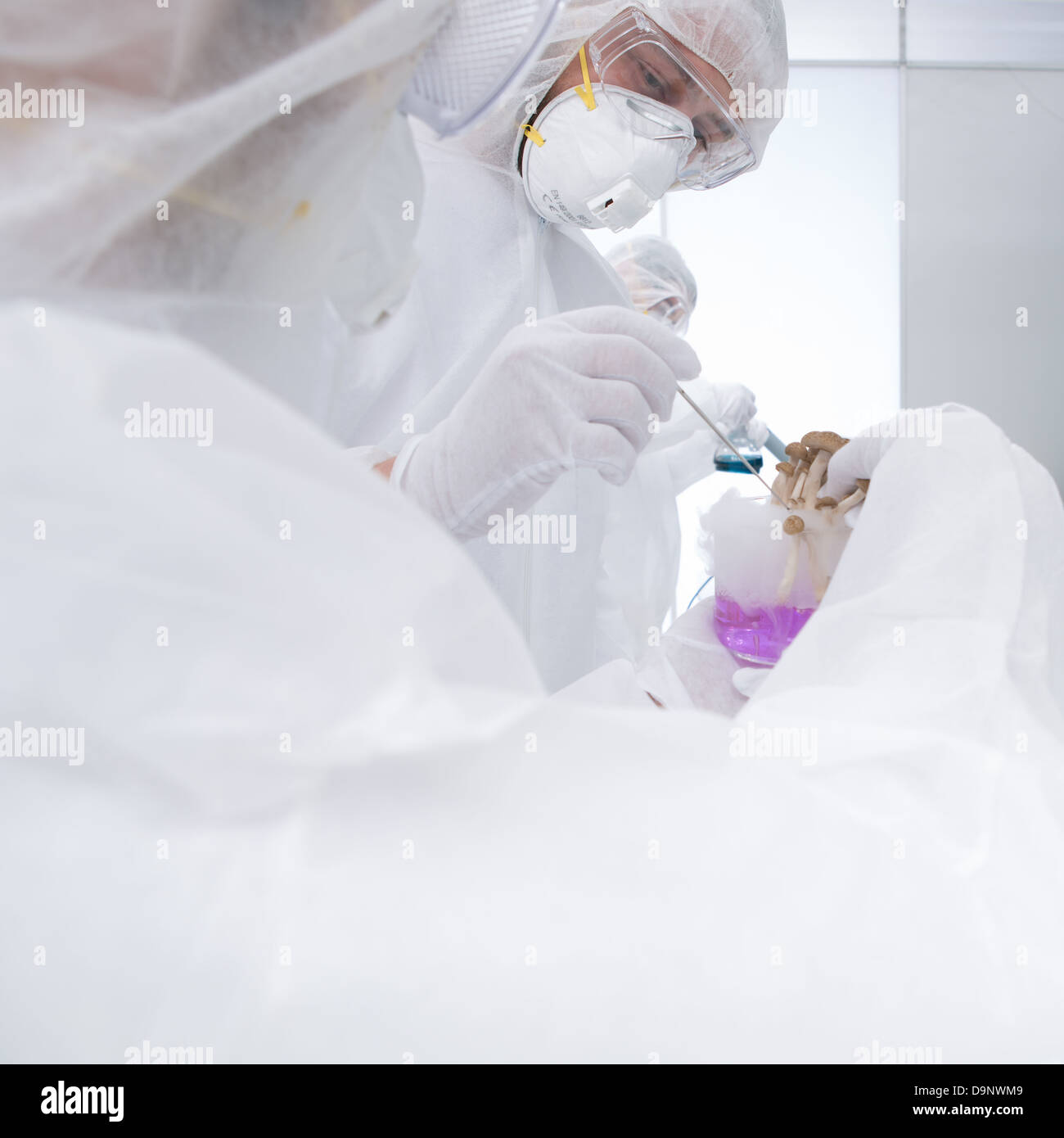 close-up of two people in a chemistry lab applying chemical techniques ...